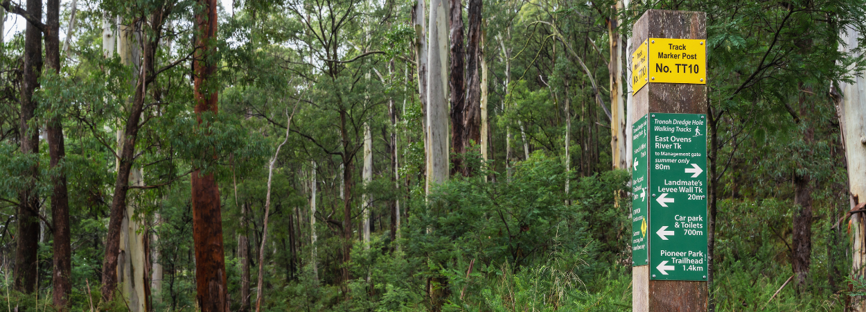 Tronoh Dredge Hole Precinct Upgrade | Major Projects | Engage Alpine